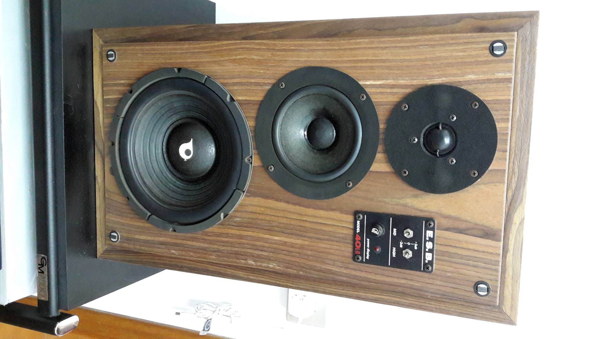 ESB MODEL 40 LD USATO - Audioplus Hi End