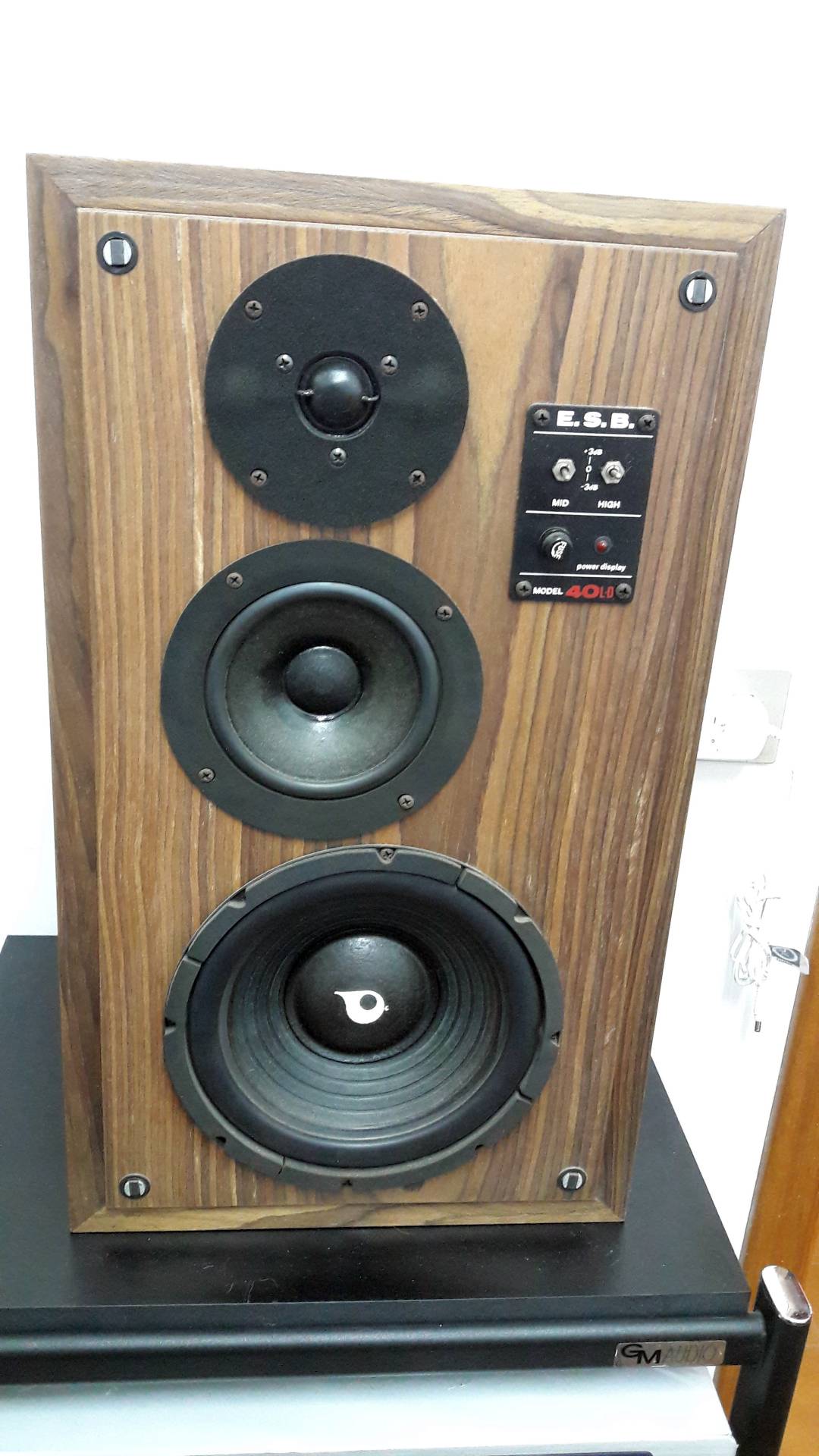 ESB MODEL 40 LD USATO - Audioplus Hi End